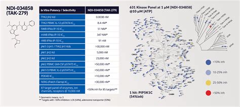 Design Of A Highly Selective Allosteric Picomolar Tyk2 Inhibitor Using Novel Fep Strategies
