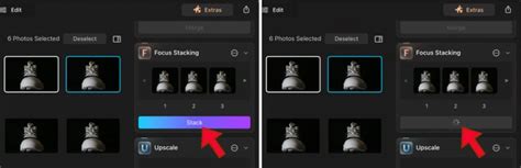 Focus Stacking Technique Examples Best Settings