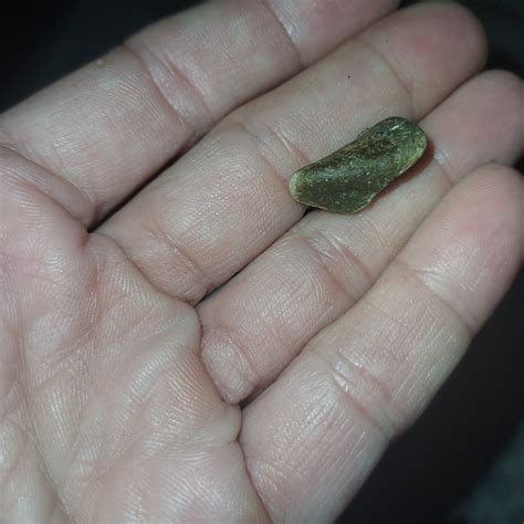 What Do Ya Ll Think Fossil ID The Fossil Forum