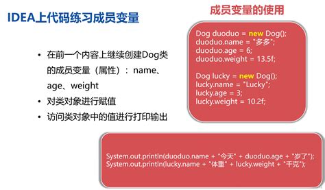 【第三章 1】面向对象——类与对象基本概念第1关类和对象的基本概念 Csdn博客