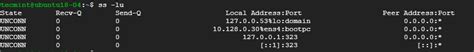 12 ss command examples to monitor network connections
