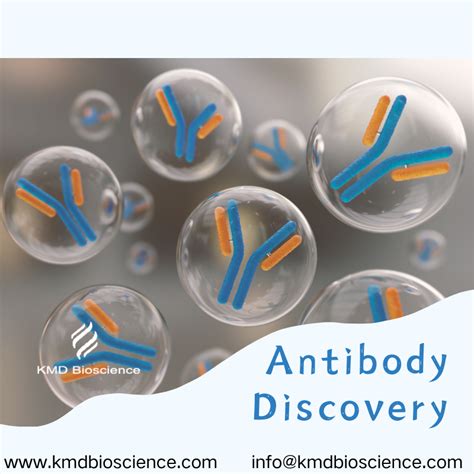 Kmd Bioscience Random Peptide Library By Kmd Bioscience Aug 2024