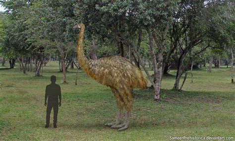 Welcome To Real Fake Birds Bird Of The Week
