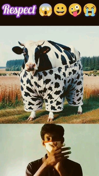 The Cow😀🤪shortvideo Shortsfeed Youtube