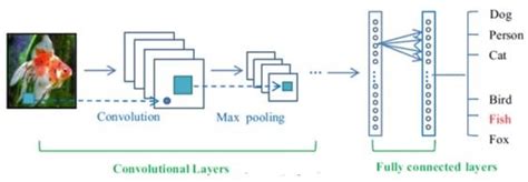 The Pipeline Of The General Cnn Architecture 20 Download Scientific