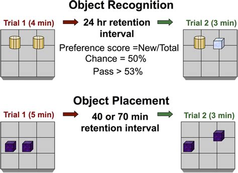 Experimental Setup For The Object Recognition And Object Placement Download Scientific Diagram