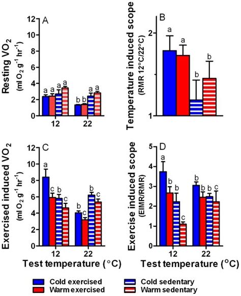 Resting Rmr A And Exercise Induced Eimr C Metabolic Rates Ml Download Scientific Diagram