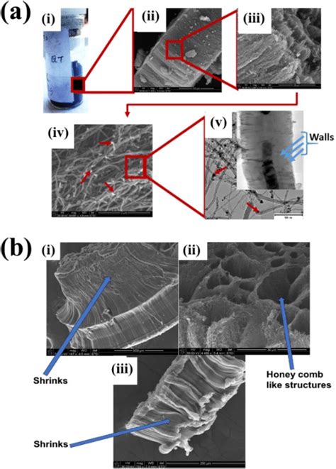 Multiwalled Carbon Nanotubes Mwcnts Grown On Quartz Tube And Acid Download Scientific Diagram