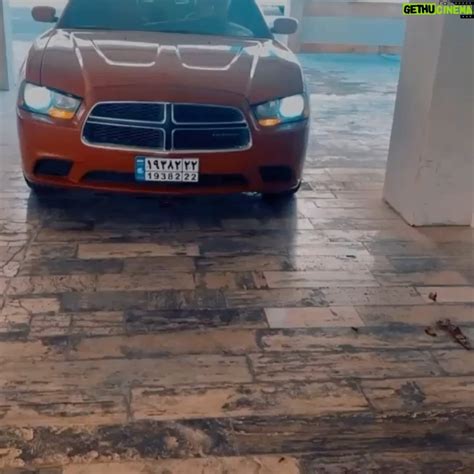 Mohammad Reza Zhaleh Gethu Cinema