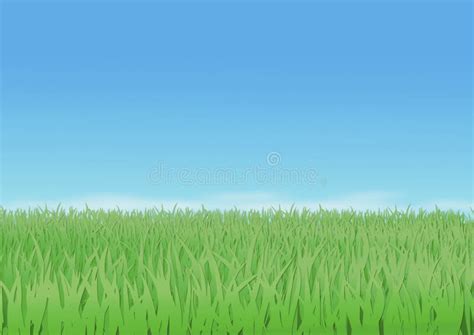 Illustrated Grass Stock Vector Illustration Of Green 7427427