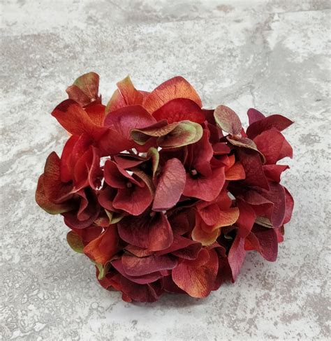 Faux Rust Colored Hydrangea Gordelly Unlimited