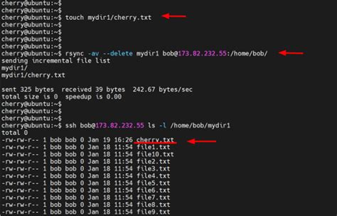 How To Use Rsync On Linux To Synchronize Local And Remote Directories Cherry Servers