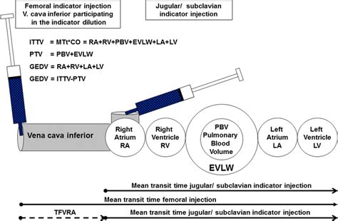 Comparison Of Jugular Subclavian Versus Femoral Indicator Injection For Download Scientific
