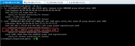 83 Nginxkeepalived双主架构 — 运维开发修炼之路
