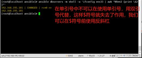 自动化运维工具 Ansibleansible Playbook启动服务 Csdn博客