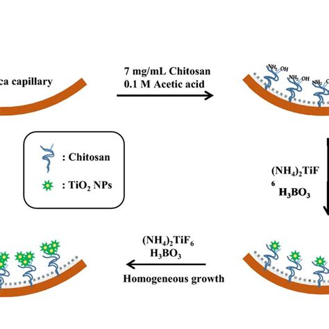 The Fabrication Of Tio2 Cs Coated Capillary Column Download Scientific Diagram
