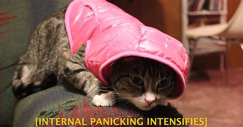 Mrw I Wake Up After A Night Of Drinking And I Dont Have My Phone On Me Imgur