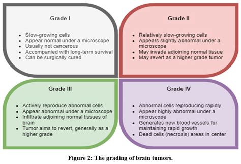 A Comprehensive Review On Strategies To Detect Diagnose And Classify