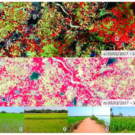 Multi Temporal Speckle Filter Effect Compared To Spatial Filter And Raw Download Scientific