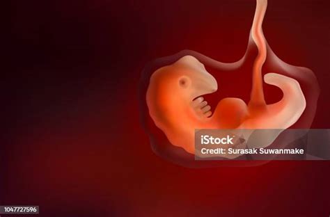태아 및 아기 어머니의 자 궁 태아에에서 붉은 색조와 함께 그림으로 3d 스캔에 대한 스톡 사진 및 기타 이미지 3d 스캔 3차원 초음파 3차원 형태 Istock