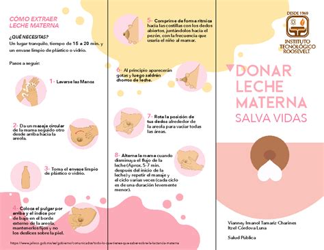 Guía Para La Extracción De Leche Materna Salud Pública Studocu