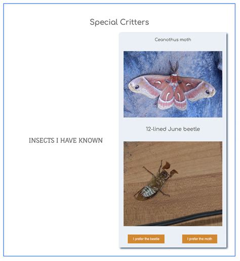 Column Layouts Overview Beaver Builder Knowledge Base