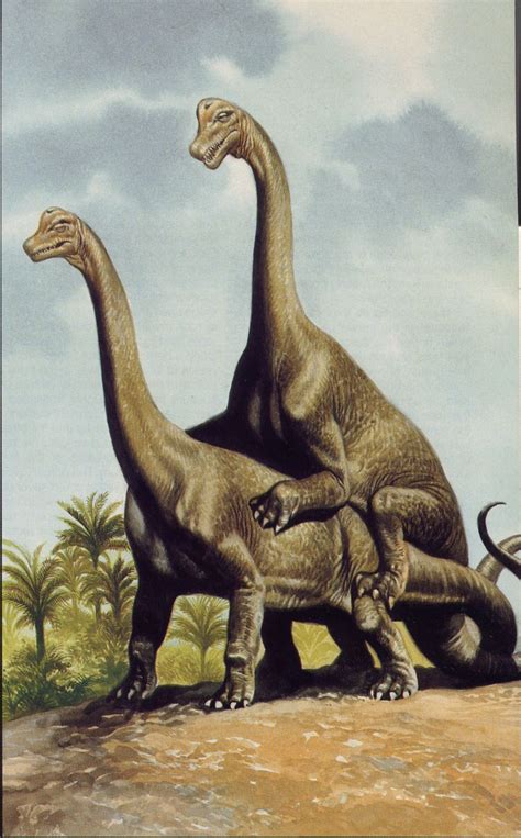 Rule 34 Dinosaur Female Long Neck Long Tail Male Plant Scalie Sex Straight 958528