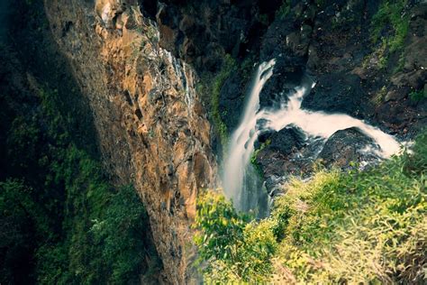 Mapleton National Park Camping And Walks Sunshine Coast
