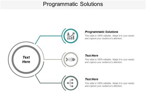 Programmatic Solutions Ppt Powerpoint Presentation Summary Brochure Cpb