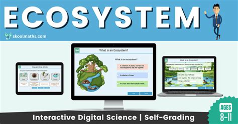 What Is An Ecosystem