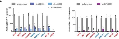 Figures And Data In Tp53 Exon 6 Truncating Mutations Produce Separation Of Function Isoforms