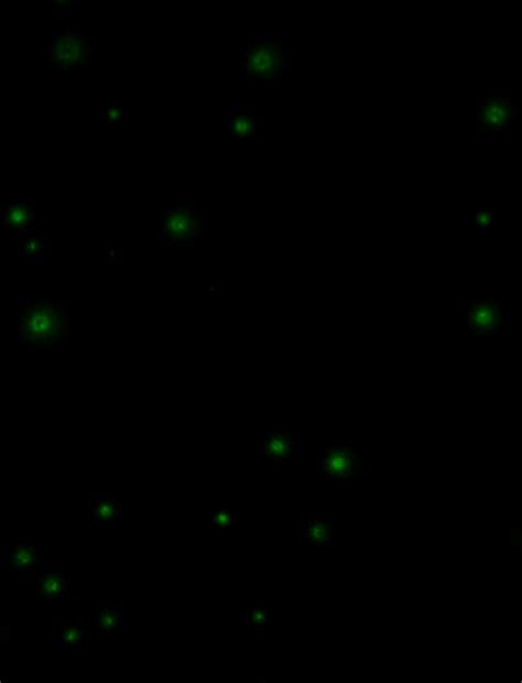 Clone Screening Solutions Automated Colony Picking