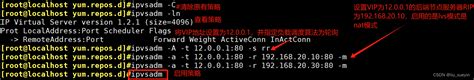 lvs负载均衡器（nat模式） nginx（七层反向代理） tomcat（多实例），实现负载均衡和动静分离 lvs反向代理 csdn博客