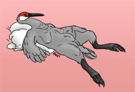 Rule 34 Animal Humanoid Antigone Genus Avian Avian Humanoid Bird Breasts Crane Bird Female