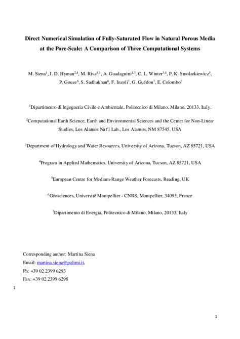 Pdf Direct Numerical Simulation Of Fully Saturated Flow In Natural Porous Media At The Pore
