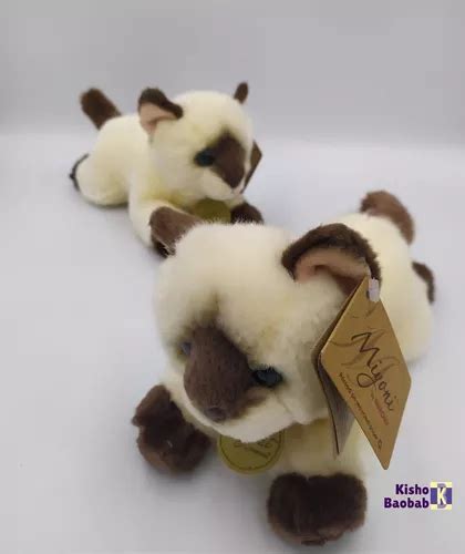 Gato Bebé Siamés Miyoni 10814 Meses Sin Interés