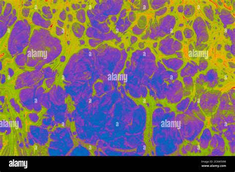 Abstract Marbling Pattern For Fabric Design Creative Marbling