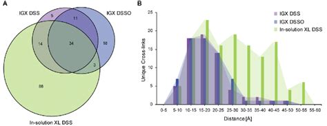 Comparison Of Igx Ms And In Solution Xl Ms Of Groel A E Coli Groel