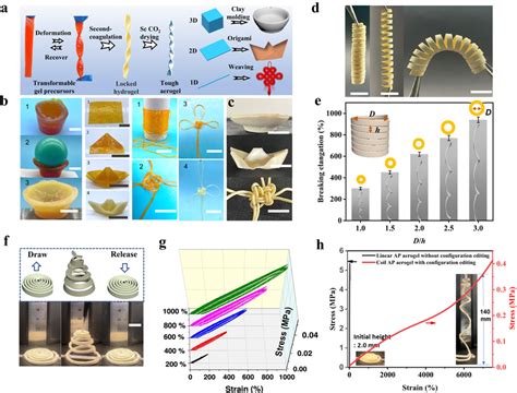 Fabrication Of Aerogels Via Configuration Editing A Schematic Diagram