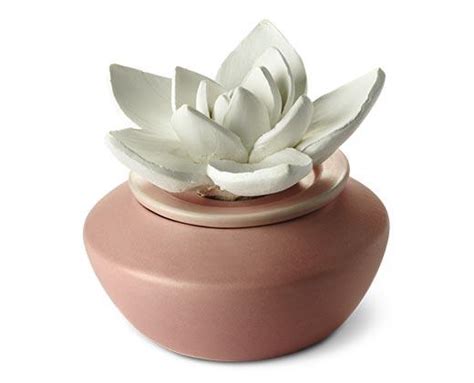 Huntington Home Essential Oil Diffuser Aldi Us Specials Archive