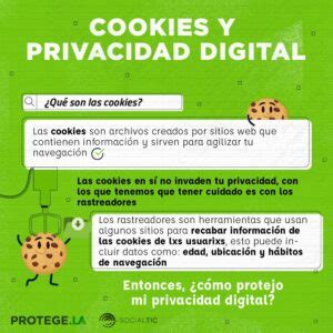 Qu Son Las Cookies Y C Mo Funcionan Haras Dadinco