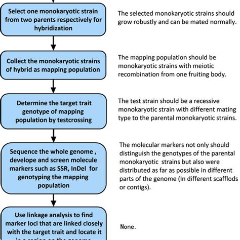 The Steps And Requirements For Fungi Map Based Cloning Procedure
