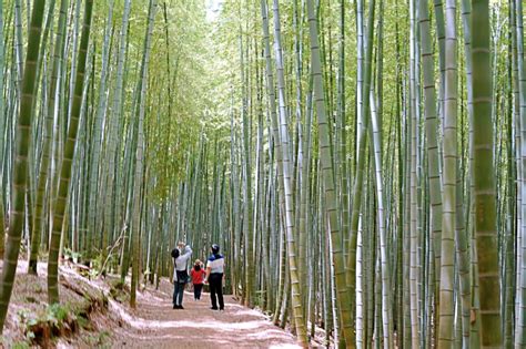 부산 여름의 힐링 아홉산 숲 두피디아 여행기