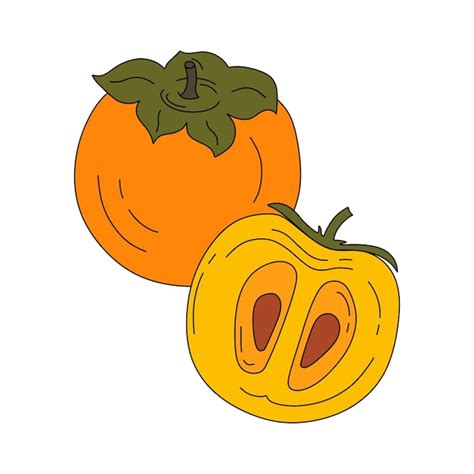 Premium Vector Persimmon Doodle Linear Vector Color Illustration Isolated On A White