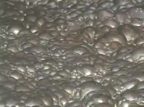 Froth Flotation Process In Mineral Processing Profreeio