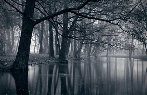 Water Landscapes Nature Dark Forest Lakes Mystic Park Wallpaper 114548