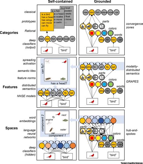 decoding semantic representations in mind and brain trends in