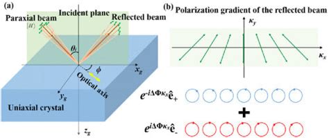 Principle For The Anisotropy Induced Photonic Spin Hall Effect A A Download Scientific