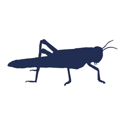 Grasshopper Program Guerra Llp