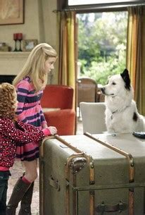 Dog With A Blog Season 2 Episode 24 Rotten Tomatoes